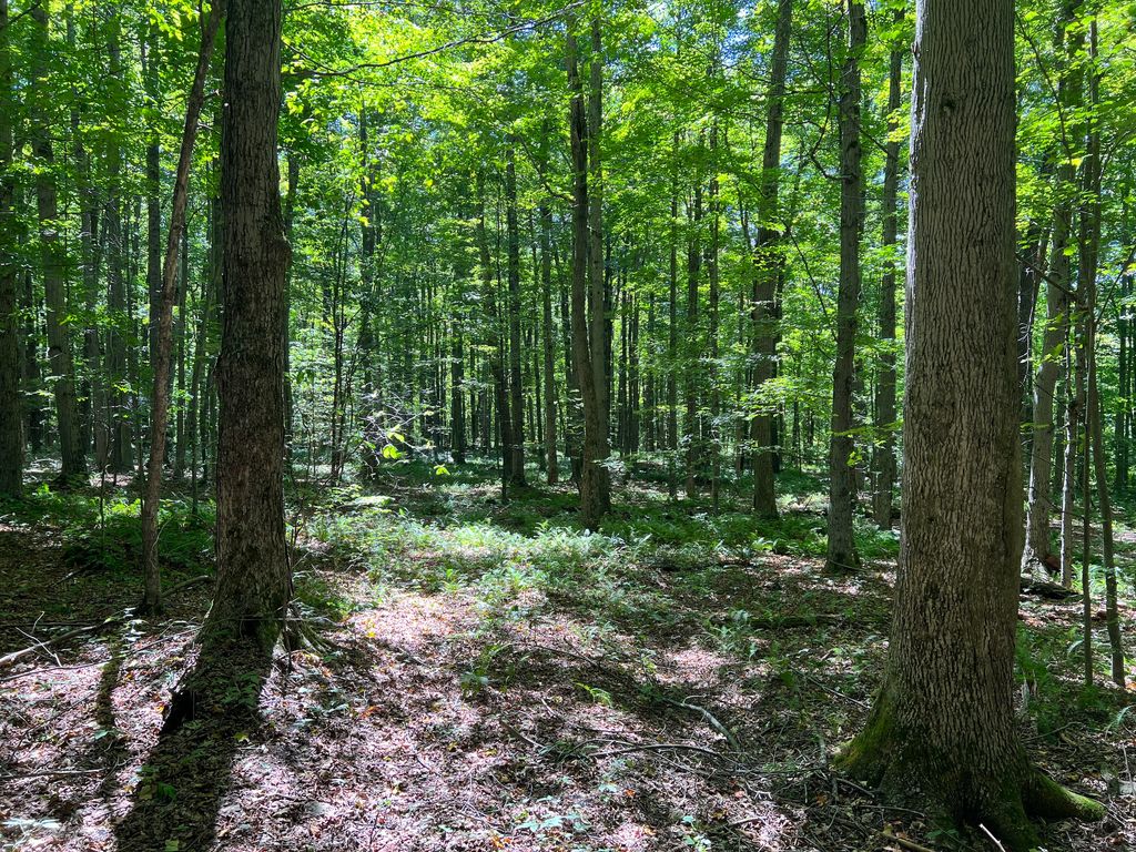 Alder Bottom Rd #WP001, Columbus, PA 16405 - See Est. Value, Schools & More