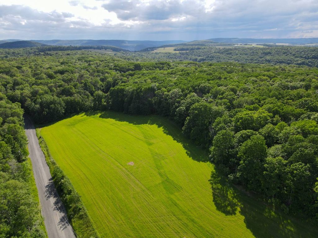 Wplot2 Gulf Rd, Cameron, NY 14819 | MLS# 11316882 | Trulia