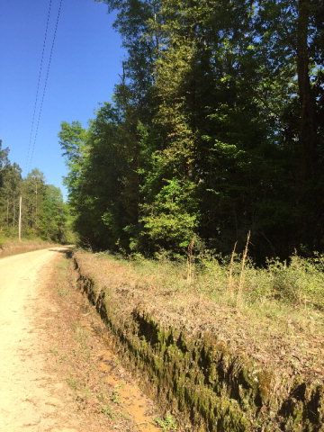 00B2 Lowman Loop, Dozier, AL 36028 - See Est. Value, Schools & More