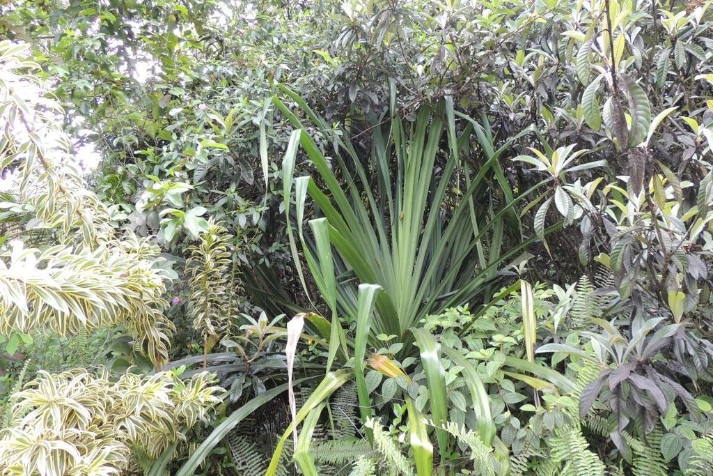 15-1888 14th Ave #430, Keaau, HI 96749 - See Est. Value, Schools & More