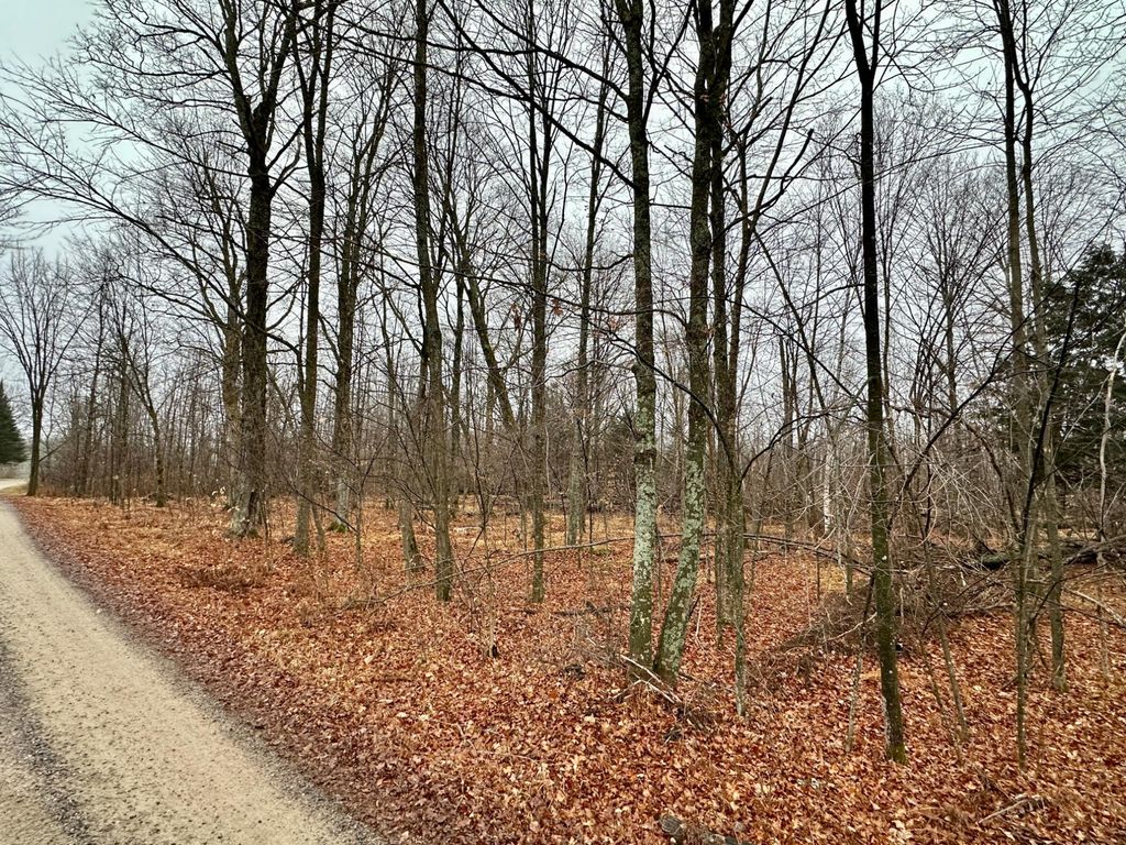 Lot 60 Chip N Dale Dr, Pickerel, WI 54465 | MLS# 215179 | Trulia