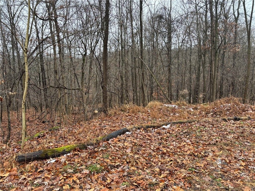 Pert Hill Rd, Hopewell, OH 43746 | MLS# 5176807 | Trulia