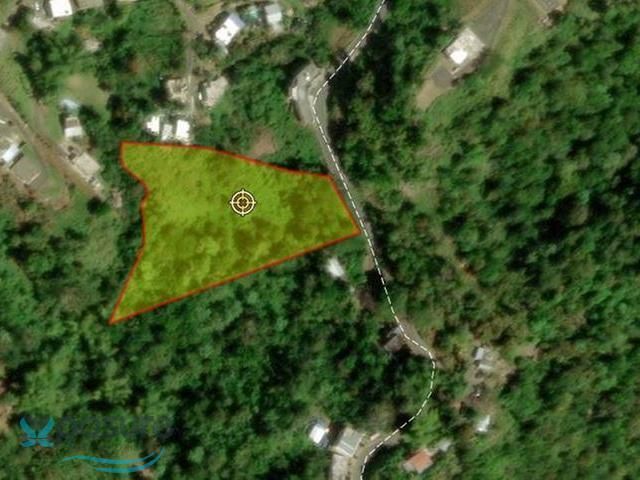 A Bo Cialitos, Ciales, PR 00638 - See Est. Value, Schools & More