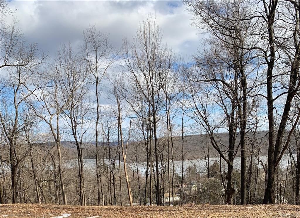 Lot 3 Ally Road, Monroe, NY 10950 - See Est. Value, Schools & More