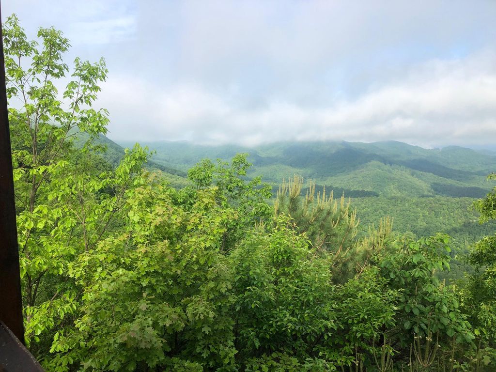 Enclave Park Way #42, Gatlinburg, TN 37738 - See Est. Value, Schools & More