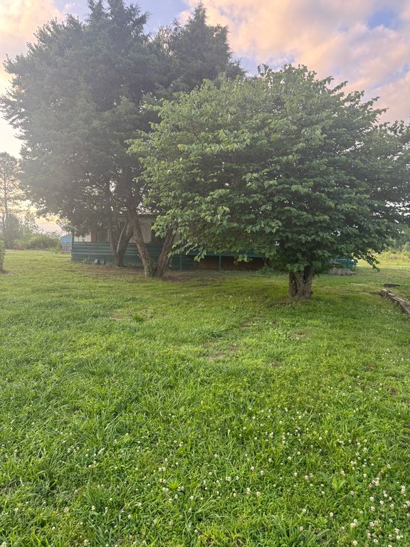 419 County Road 581, Rainsville, AL 35986 - See Est. Value, Schools & More