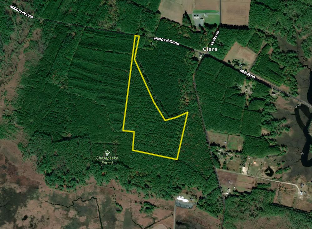 Muddy Hole Rd #WP001, Tyaskin, MD 21865 | MLS# 95565 - Trulia | Trulia