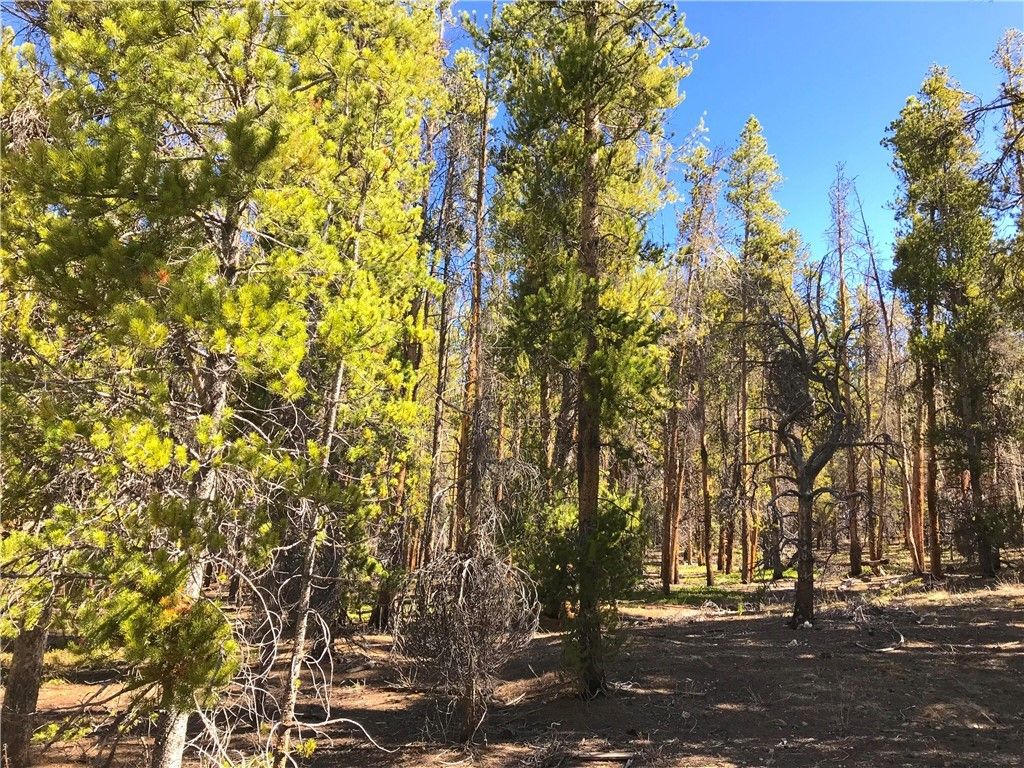 Ruby Ln, Leadville, CO 80461 | Trulia