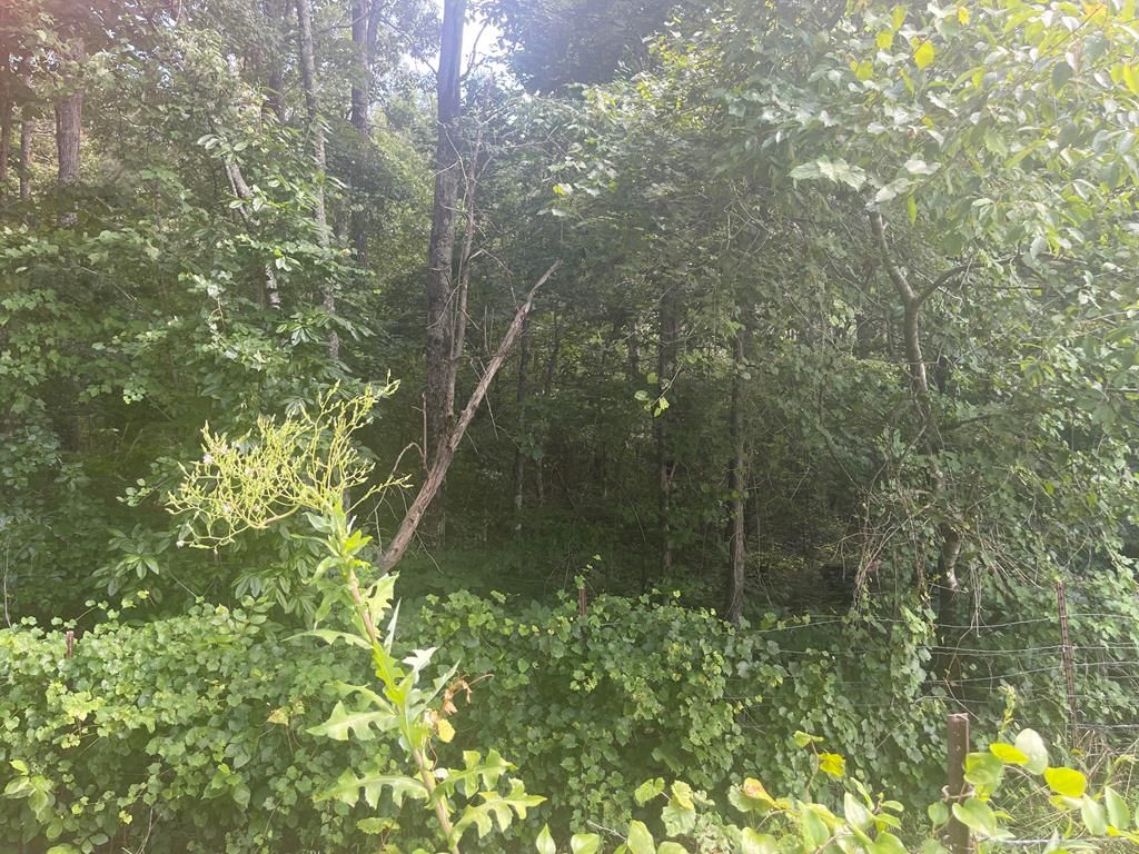 Kevin Harvick Dr, La Fayette, GA 30728 - See Est. Value, Schools & More