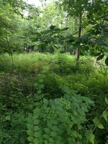 10165 Center Village Rd, Galena, OH 43021 - See Est. Value, Schools & More