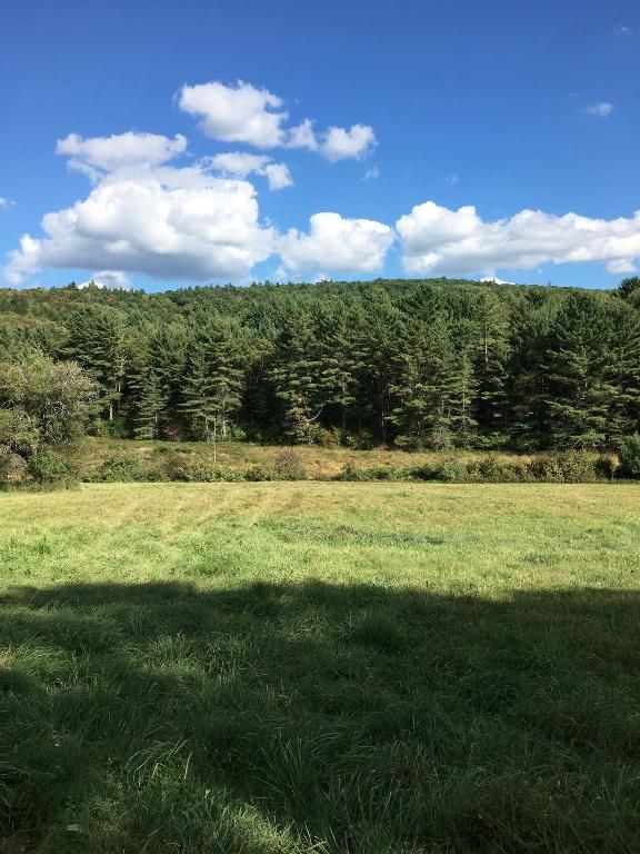 Gifford Hill Rd, Oneonta, NY 13820 - See Est. Value, Schools & More