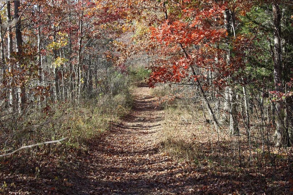 Dead End Trl, Garrison, KY 41141 | MLS# RA20256725 | Trulia