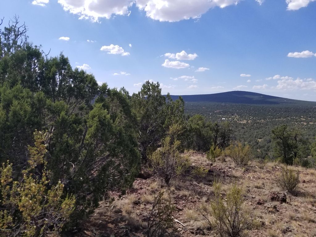 27 Juniper Mountain Ranches, Seligman, AZ 86337 - See Est. Value ...