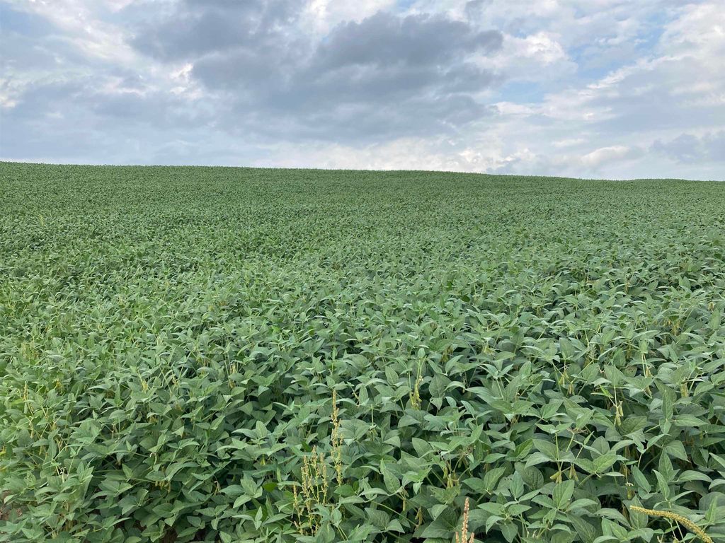 226th St, Zwingle, IA 52079 | Trulia