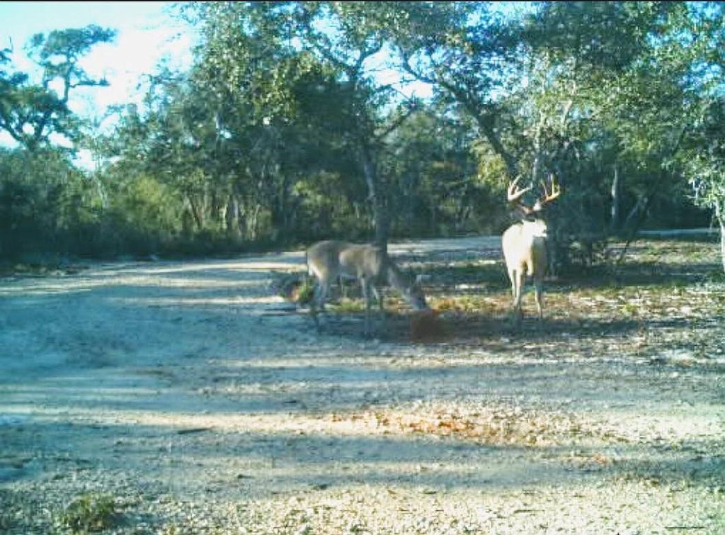 1510 W Rhodes Ave, Aransas Pass, TX 78336 - See Est. Value, Schools & More