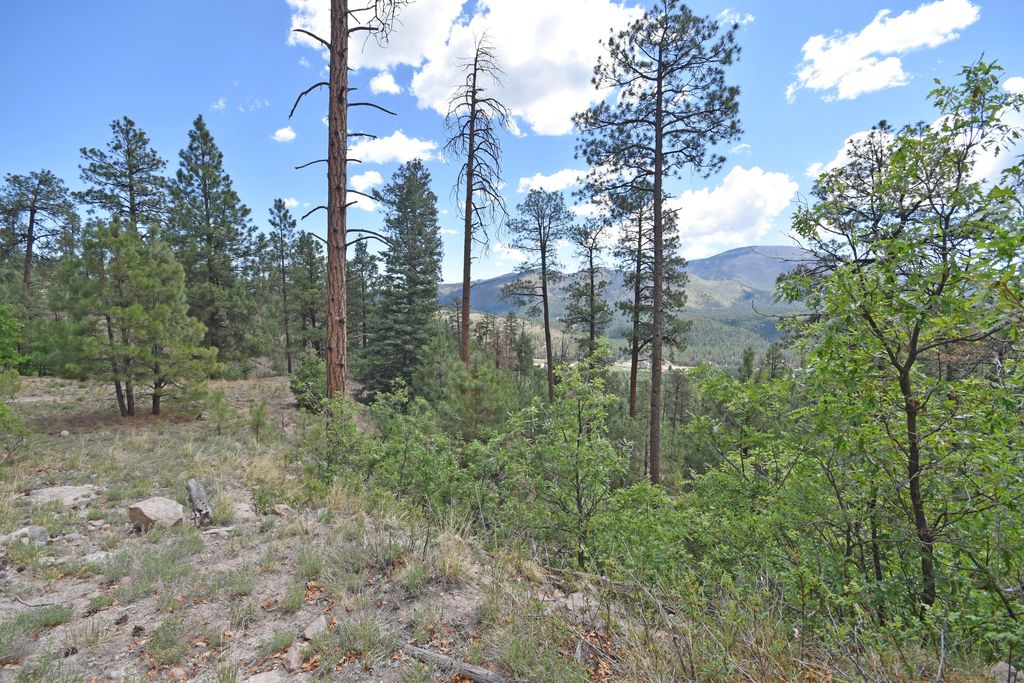9 Beryl Rd, Jemez Springs, NM 87025 | Trulia