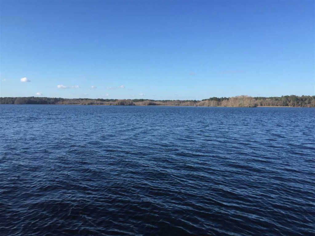 Xxxx Williams Lndg #0, Tallahassee, FL 32317 - See Est. Value, Schools ...