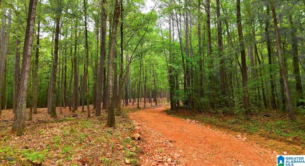 399 Magnolia Ln #1, Pell City, AL 35128 | MLS# 21435199 | Trulia