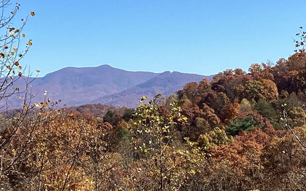 1220 Chatuge Manor Dr, Young Harris, GA 30582 - See Est. Value, Schools ...