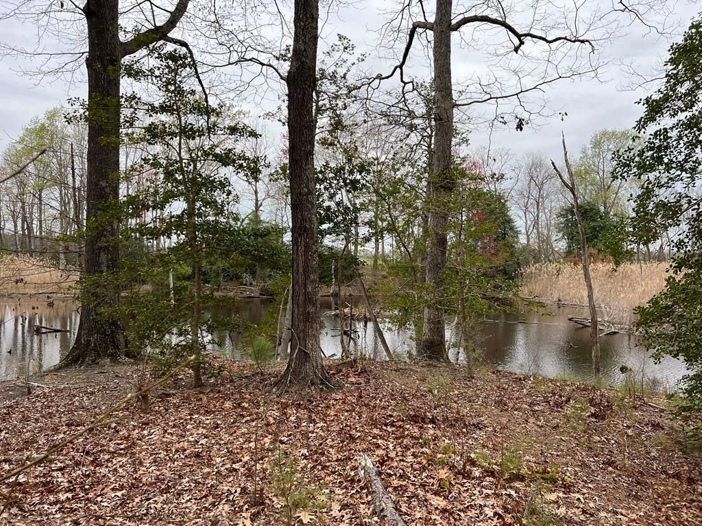 Lot 7C Cod Creek Dr, Heathsville, VA 22473 - See Est. Value, Schools & More