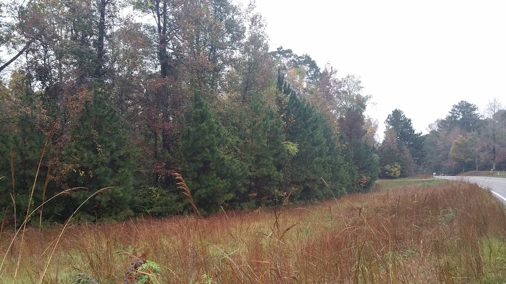 Dames Ferry Road, Forsyth, GA 31029 - See Est. Value, Schools & More