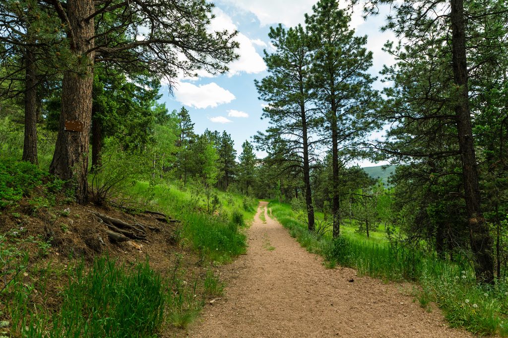 Kings Crown Rd, Woodland Park, CO 80863 - See Est. Value, Schools & More