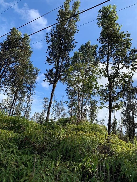 16-2030 Ao Rd #2763, Mountain View, HI 96771 - See Est. Value, Schools ...