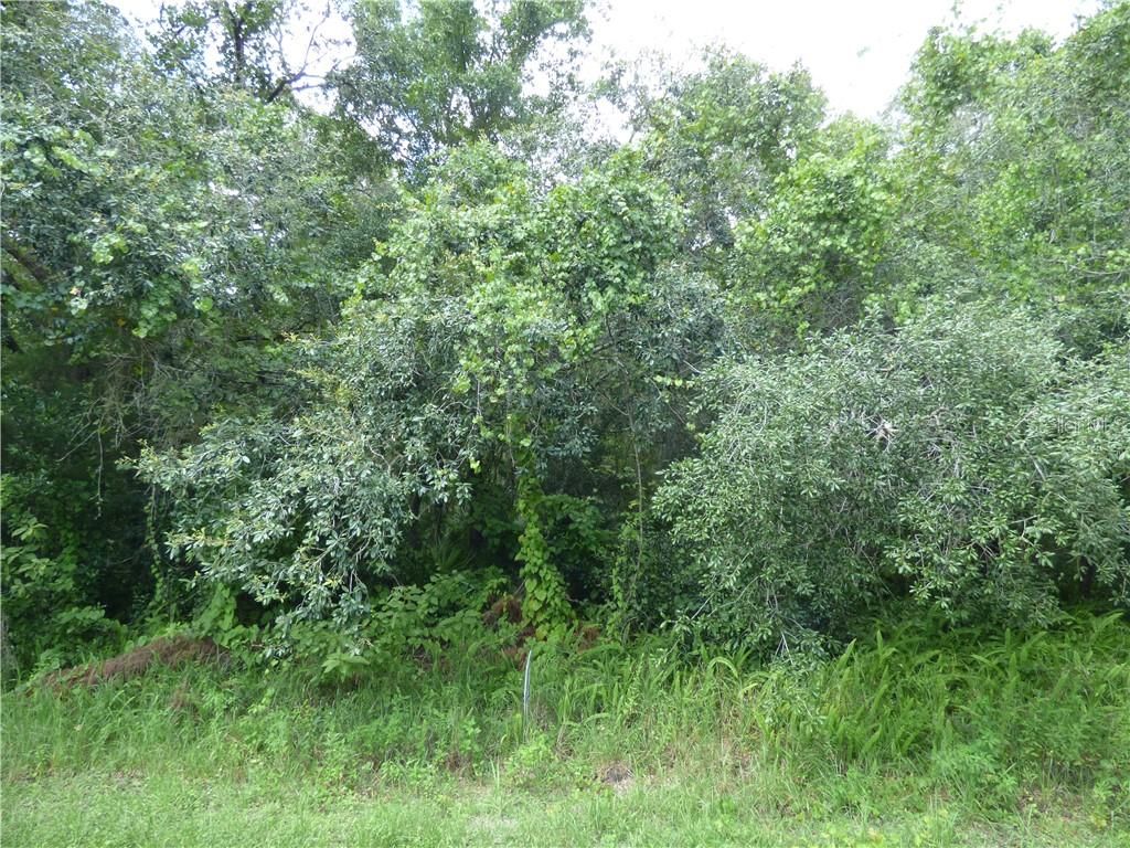 Leguna St #13, New Pt Richey, FL 34654 | Trulia