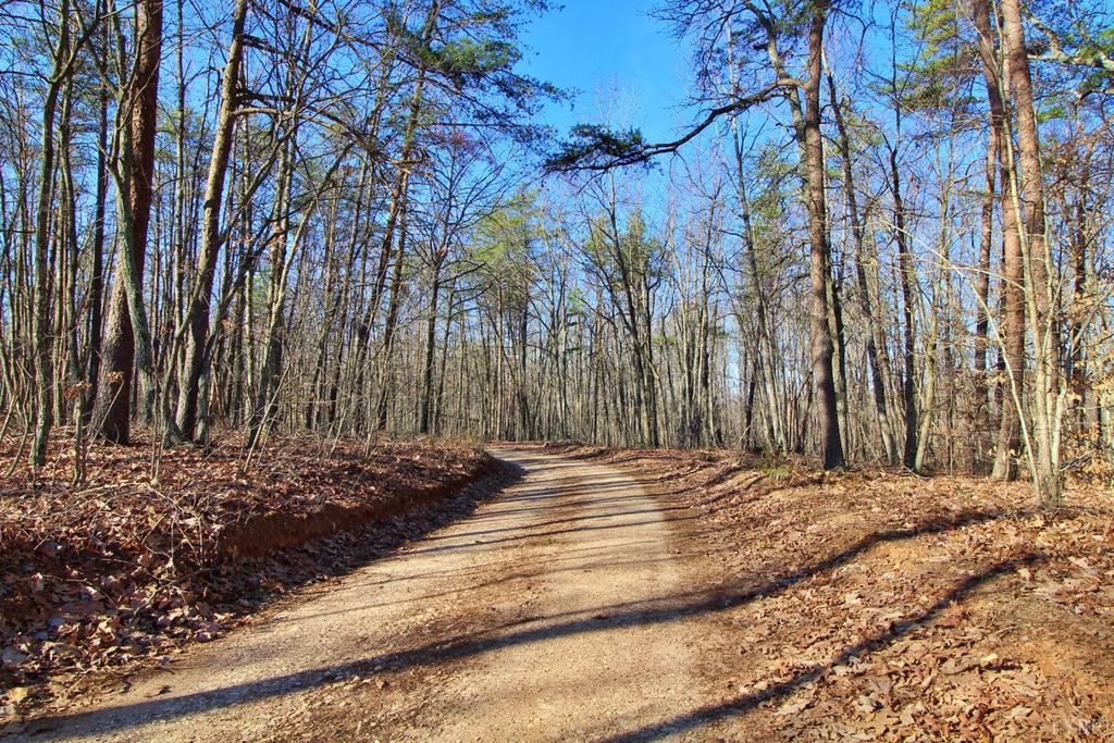 Bucking B Ranch Ln #31, Dillwyn, VA 23936 - See Est. Value, Schools & More