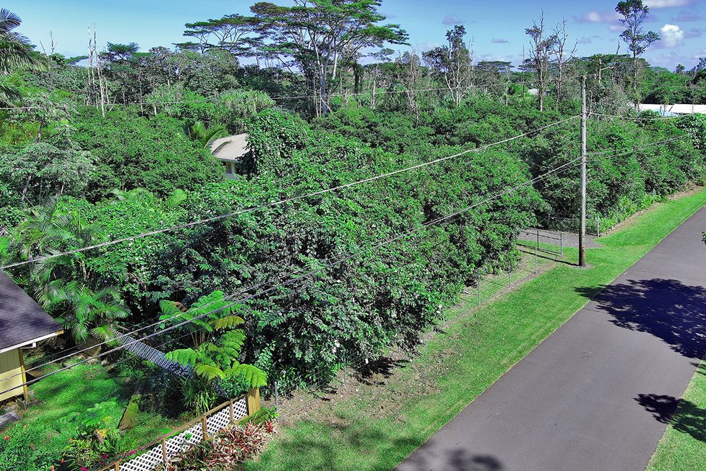 Manalo St #1119, Pahoa, HI 96778 - See Est. Value, Schools & More