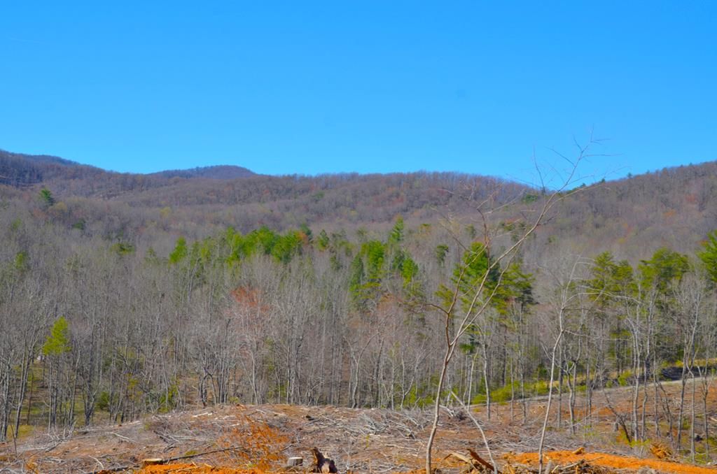 Shortcut Dr, Woolwine, VA 24185 - See Est. Value, Schools & More