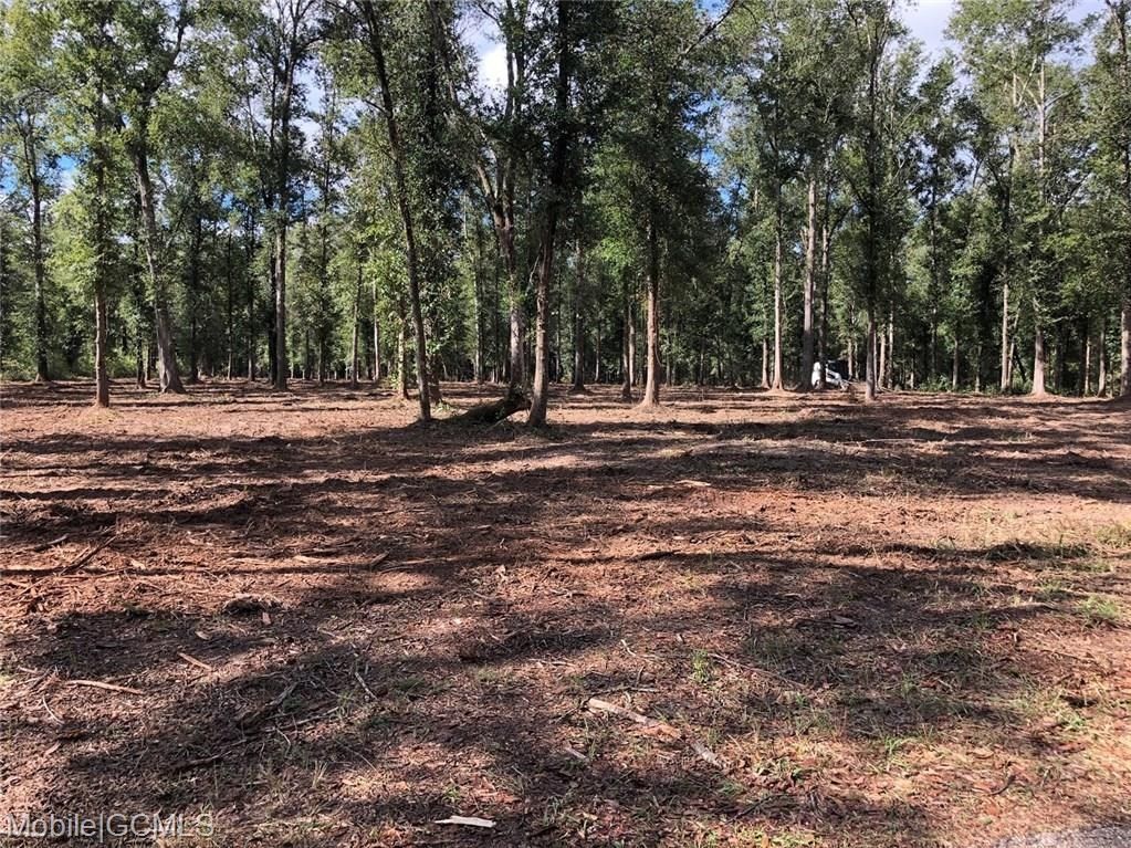 Grand Bay Wilmer Rd #6, Grand Bay, AL 36541 | Trulia