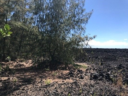 145130 Hokulani Rd #28, Pahoa, HI 96778 - See Est. Value, Schools & More