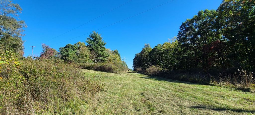 123 Ellison Ridge Rd, Jumping Branch, WV 25969 - See Est. Value ...