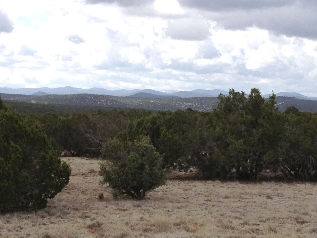 County Road 8202, Concho, AZ 85924 | Trulia