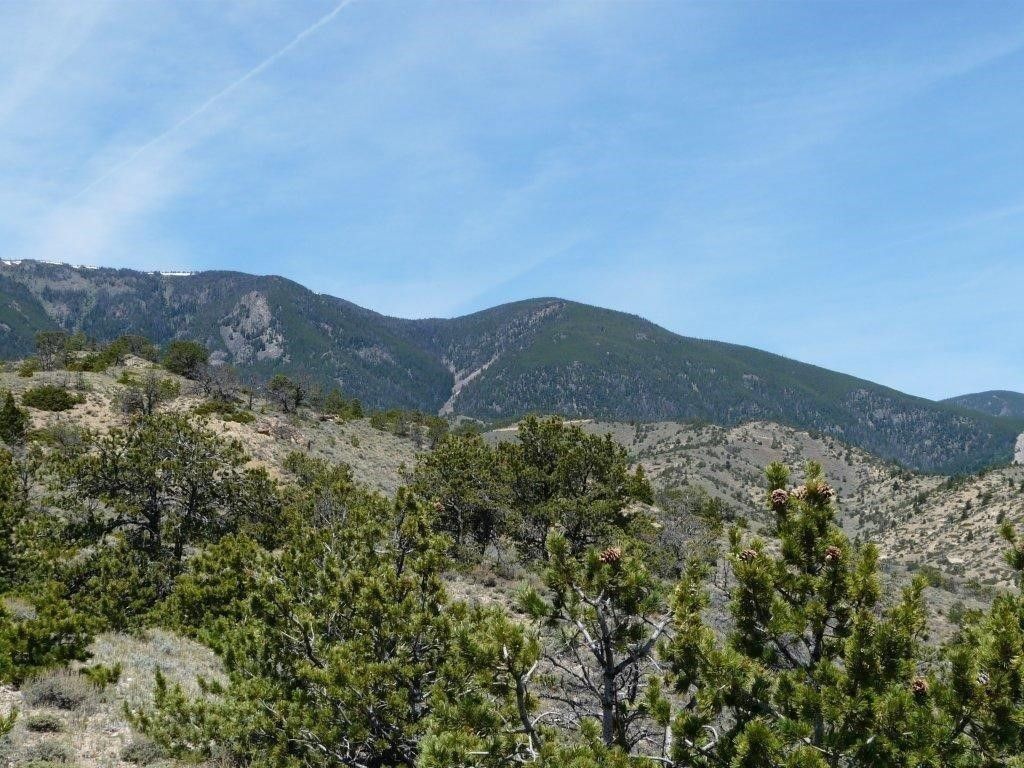 27 Ruby Creek Rd, Belfry, MT 59008 | MLS# 30013528 | Trulia