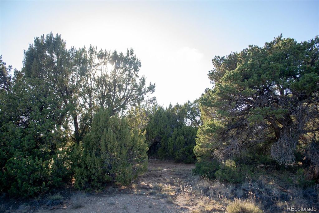 134 Navajo Ranch Ests, Walsenburg, CO 81089 - See Est. Value, Schools ...