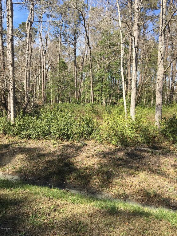 60 Pinewood Drive, Calabash, NC 28467 | Trulia