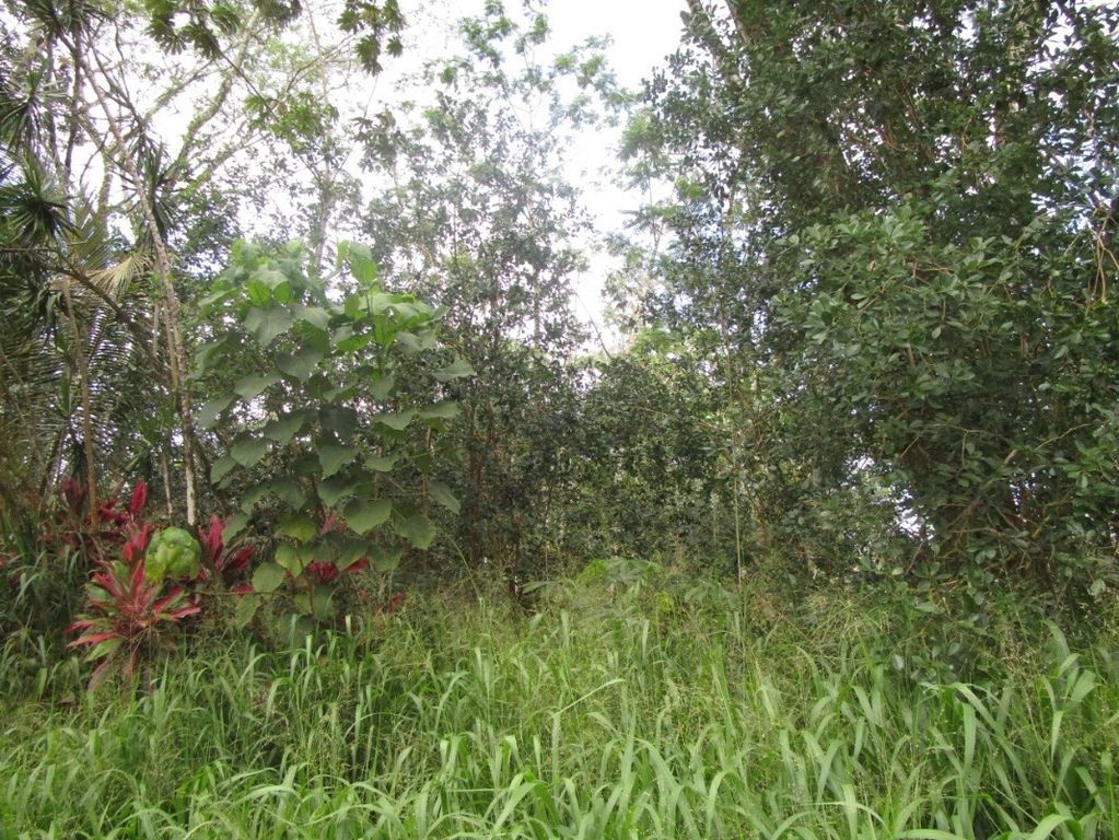 14th Avenue Laamia #1071, Keaau, HI 96749 - See Est. Value, Schools & More