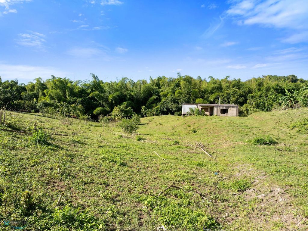 Carr El Salto #100, Cabo Rojo, PR 00623 | MLS# 62538 | Trulia