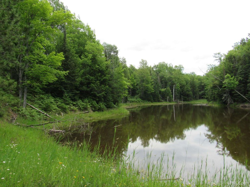 17264 Aura Rd, Lanse, MI 49946 - See Est. Value, Schools & More