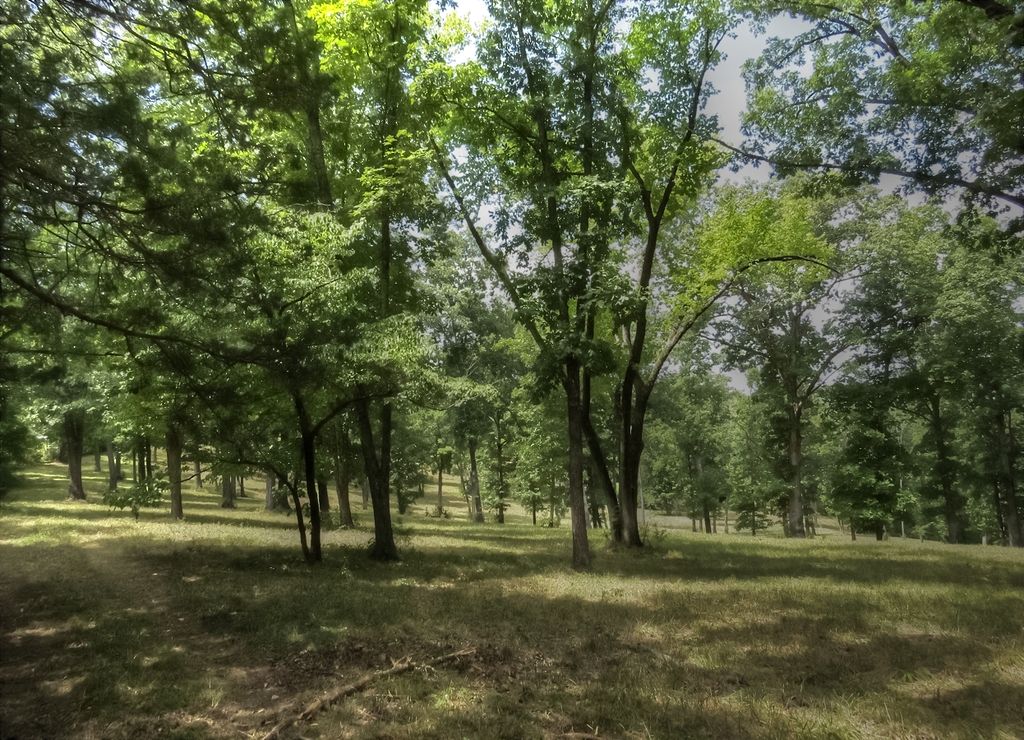 1 State Hwy #160, Walnut Shade, MO 65771 | Trulia
