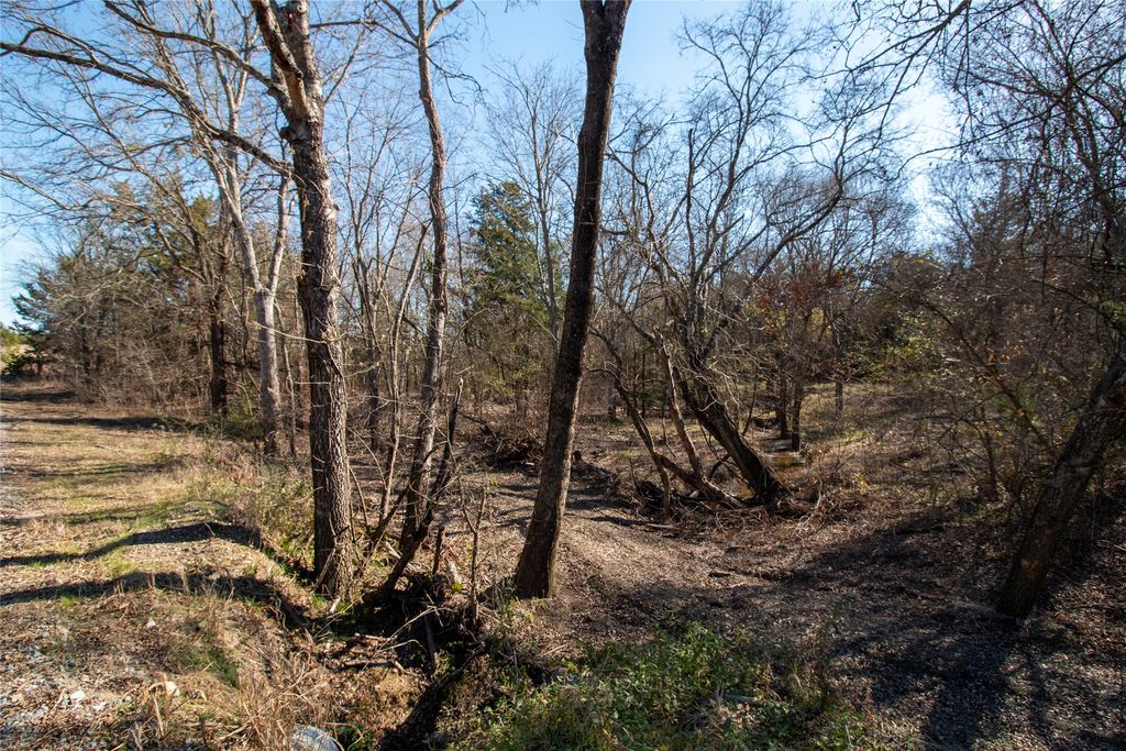 Tbdlot1 County Rd #2905, Dodd City, TX 75438 | MLS# 21133292 | Trulia