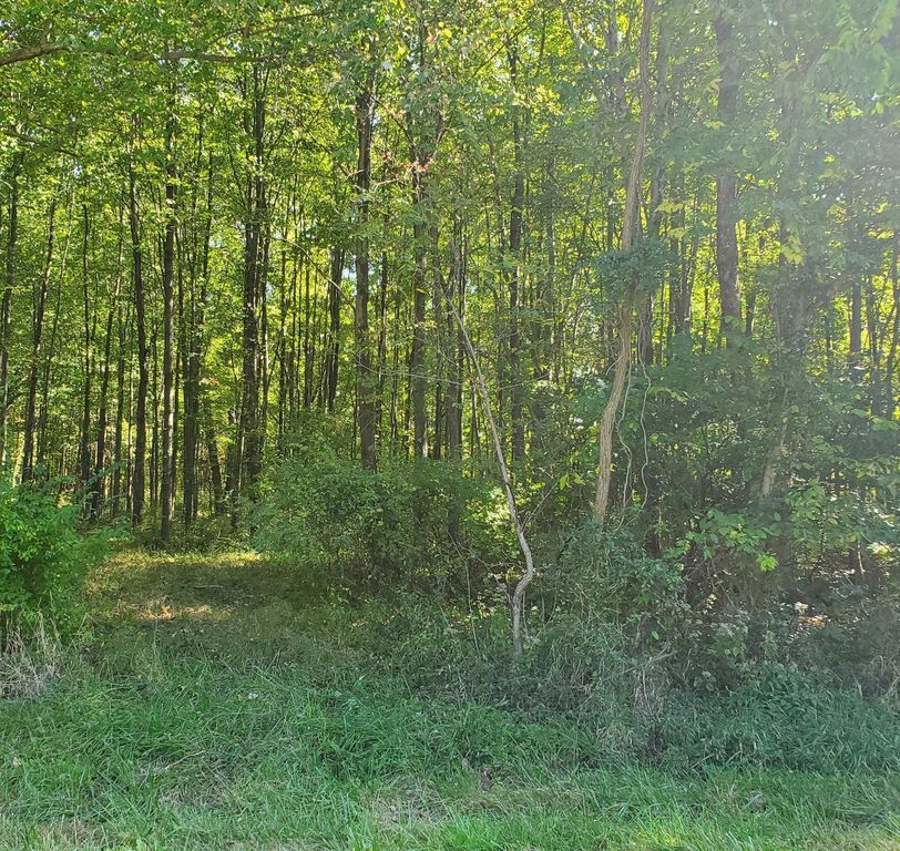 12950 Locust Ridge New Harm Rd, Williamsburg, OH 45176 - See Est. Value ...