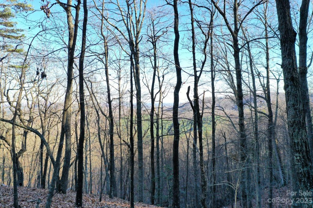 Fire Tower Rd #17, Bostic, NC 28018 | MLS# 4097914 | Trulia