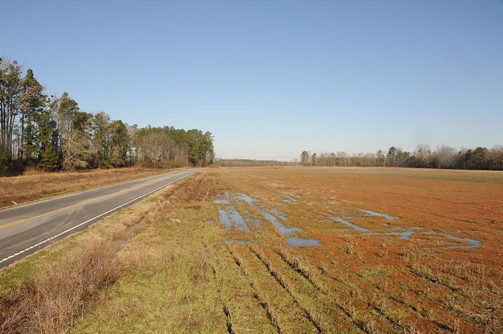 Fire Tower Rd, Blenheim, SC 29516 - See Est. Value, Schools & More