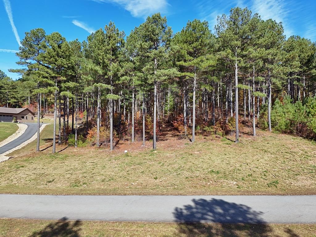 168 Stables Loop, Blairsville, GA 30512 | MLS# 420103 | Trulia