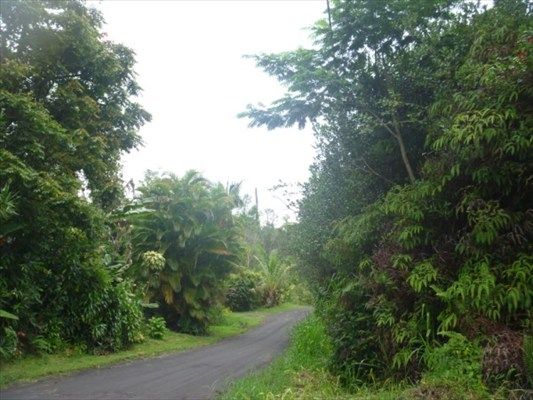 Road 3 Hopue #3086, Mountain View, HI 96771 - See Est. Value, Schools ...