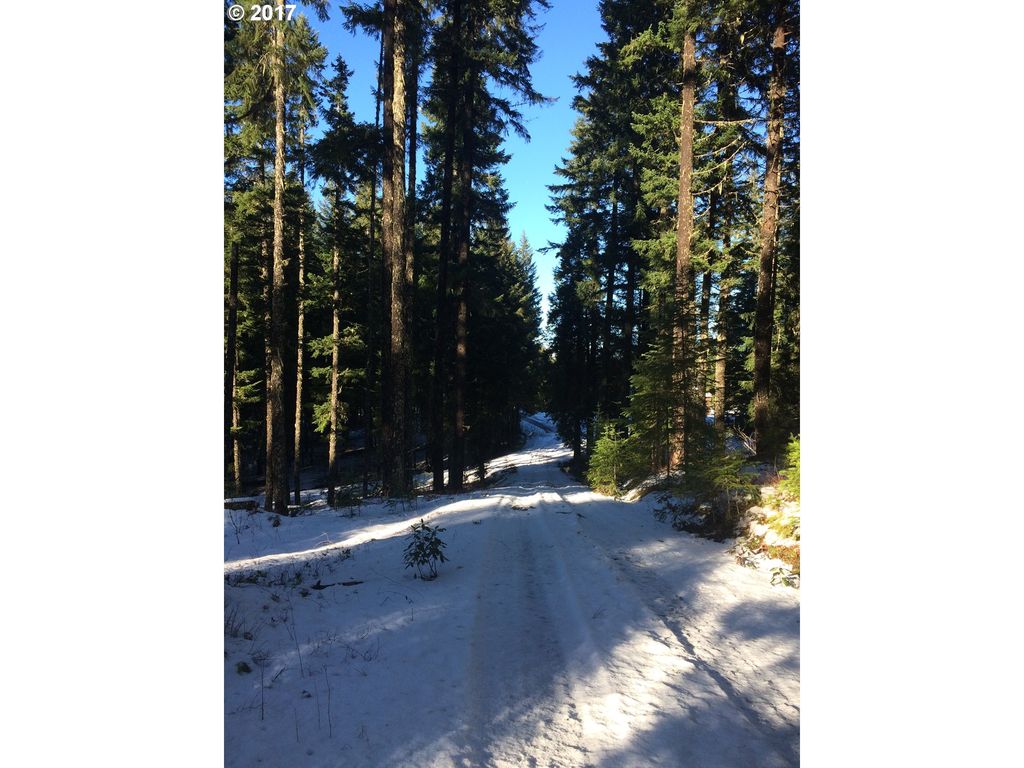 High Prairie Rd, Oakridge, OR 97463 | Trulia