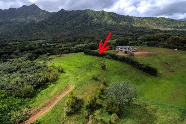 2737 Halaulani Rd #A, Kilauea, HI 96754 - See Est. Value, Schools & More